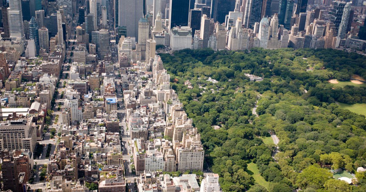 Central Park in New York: Entdecken Sie die grüne Lunge der Metropole ...