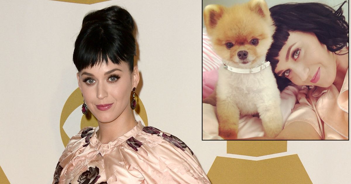Katy Perry: Mit Bob und Pony bei Instagram | BUNTE.de