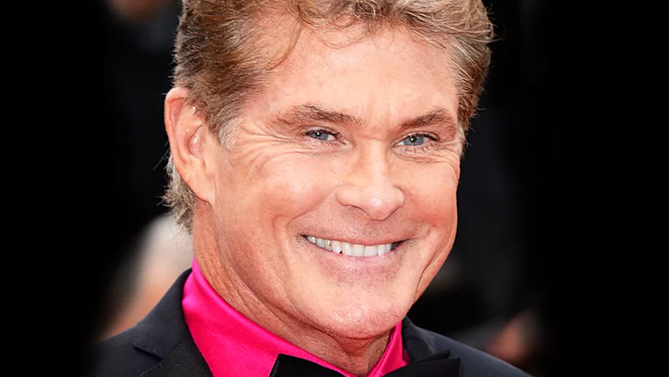 David Hasselhoff: Er zieht in den Container | BUNTE.de