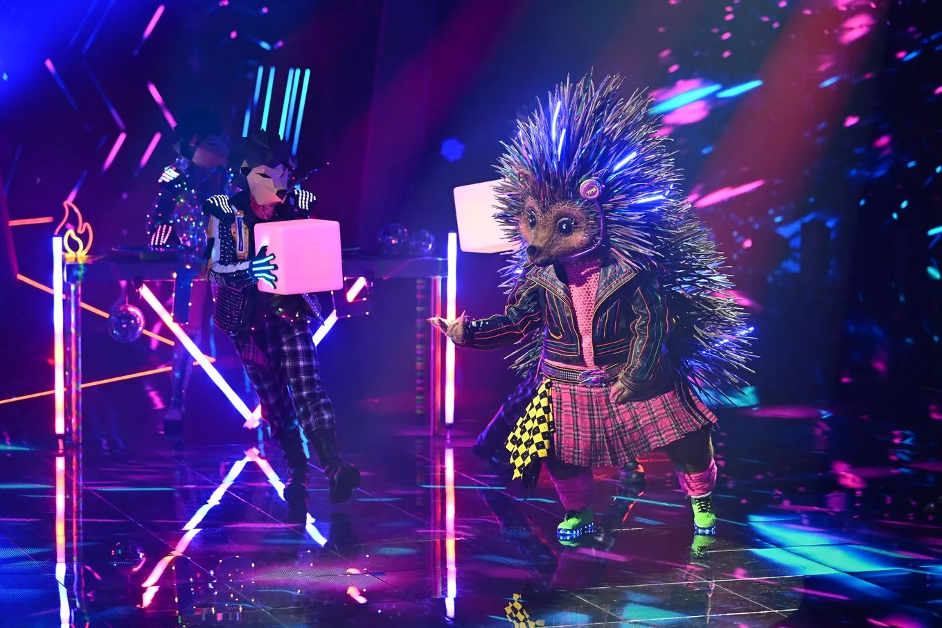 "The Masked Singer": Ruth Moschner enttarnt Waschbär - trotz absurder ...