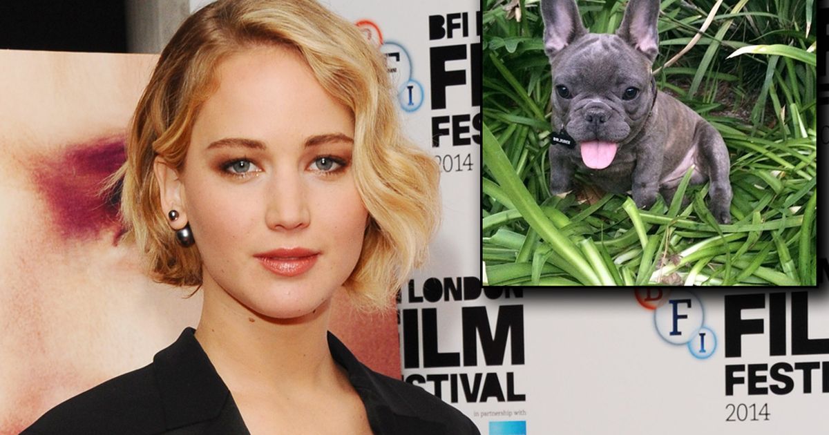 Jennifer Lawrence: Süße Bulldogge für die beste Freundin | BUNTE.de