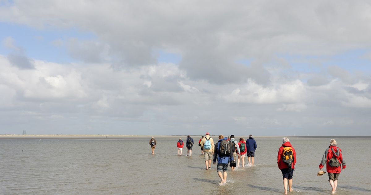 Wattwanderung: Tipps für einen gelungenen Ausflug | BUNTE.de