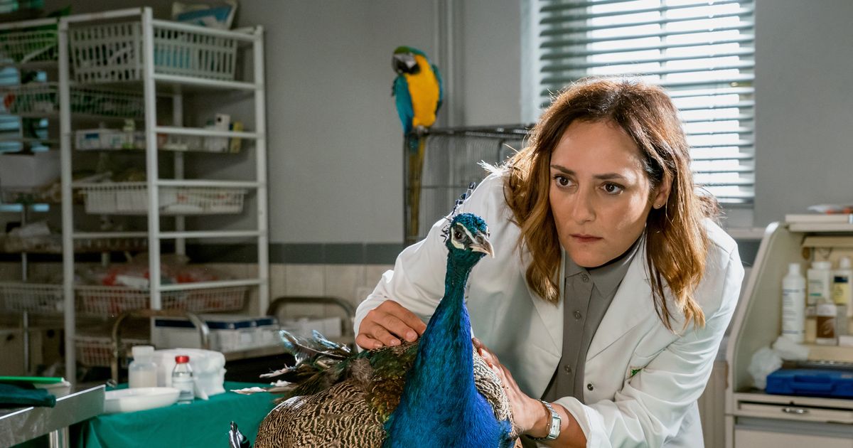 Neshe Demir: Ex-"Tierärztin Dr. Mertens"-Star im Visier der "Rosenheim ...