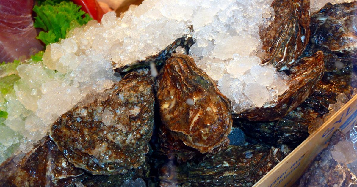 Sylter Royal: Die Delikatesse aus dem Wattenmeer | BUNTE.de