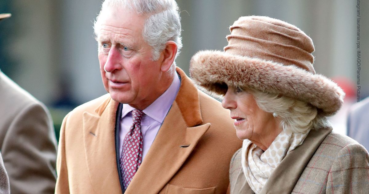 König Charles: Darum wollte er Eichhörnchen töten lassen | BUNTE.de