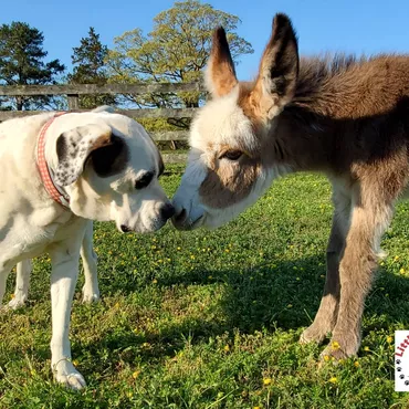 Tipps & Stories zu Familie und mehr | BUNTE.de