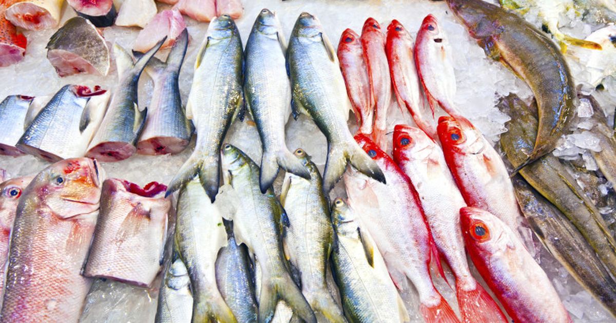 Gourmet: Frischer Fisch: So erkennen Sie ihn | BUNTE.de