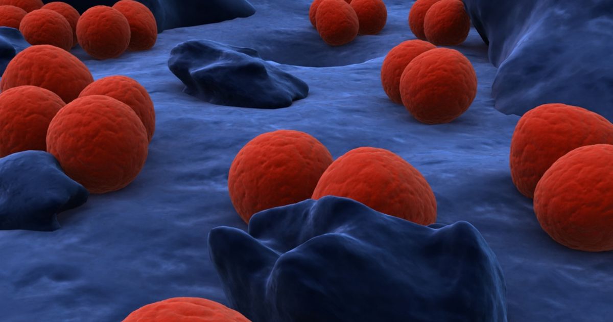 News: WHO besorgt: Tripper bald unheilbar? | BUNTE.de