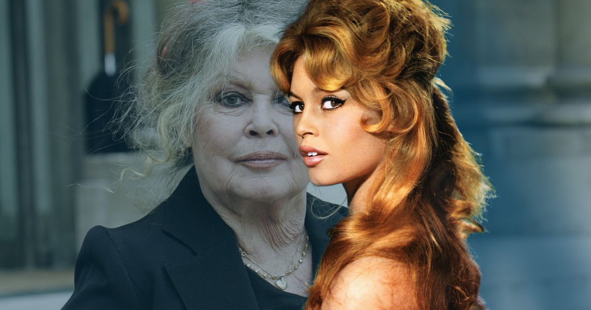Brigitte Bardot: Kaum wiederzuerkennen – so sehr hat sie sich verändert ...