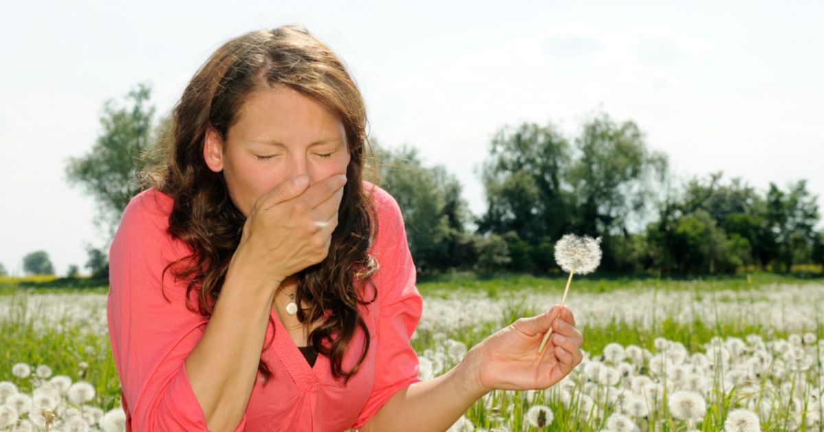 Heuschnupfen: Was genau ist Heuschnupfen? | BUNTE.de