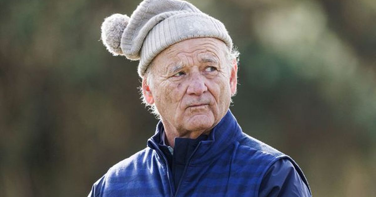 Bill Murray: Übergriffiges Verhalten – Weihnachtsfilm-Image bröckelt ...