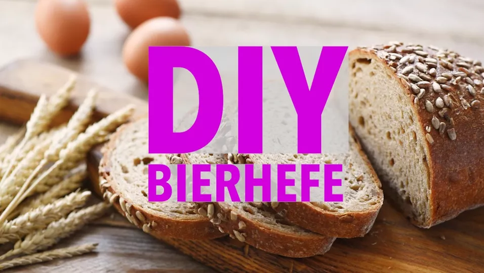 Hefe selber machen: Rezept für selbstgemachte Backhefe | BUNTE.de