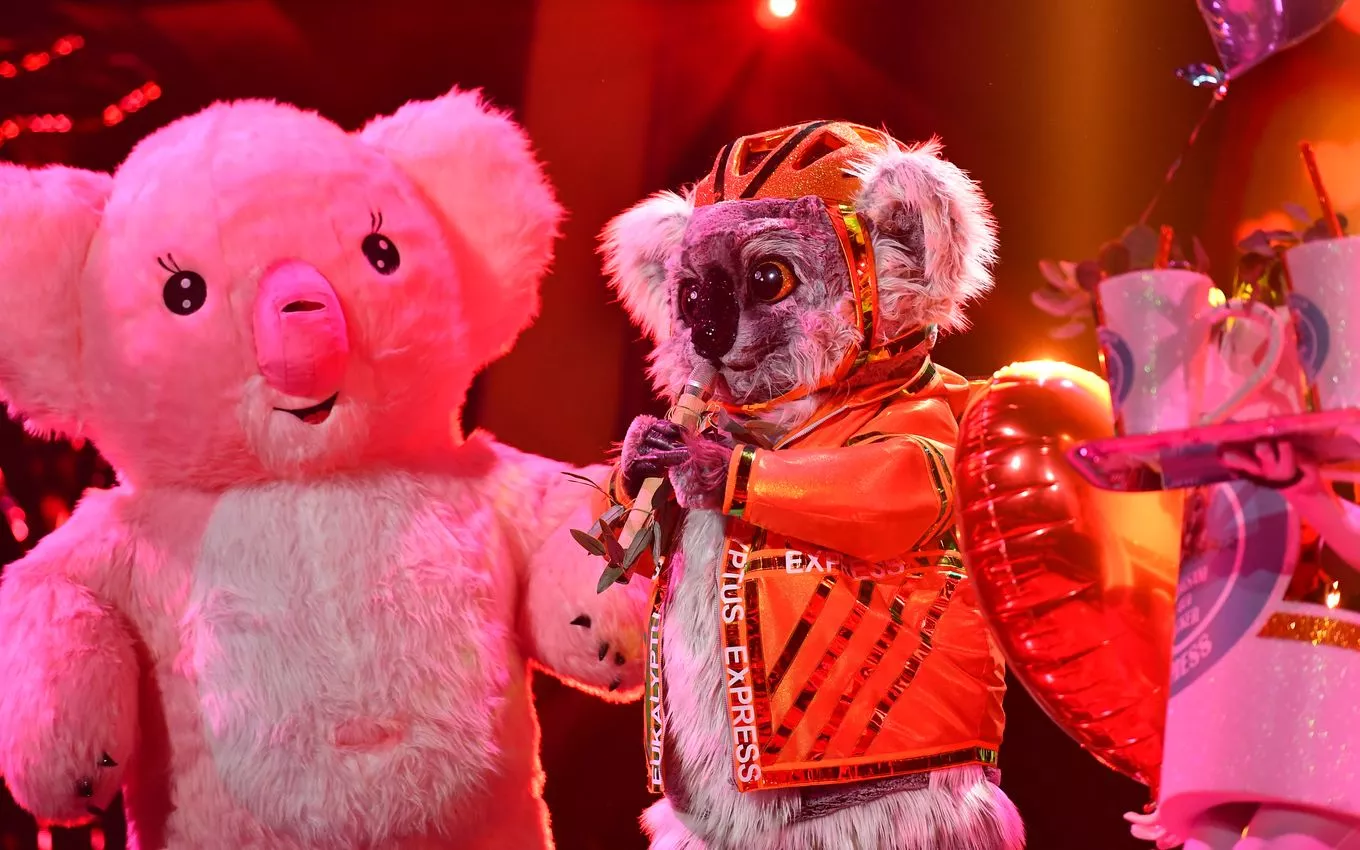 The Masked Singer: Dritter Promi enttarnt! Ein Weltstar steckte im Koala-Kostüm | BUNTE.de