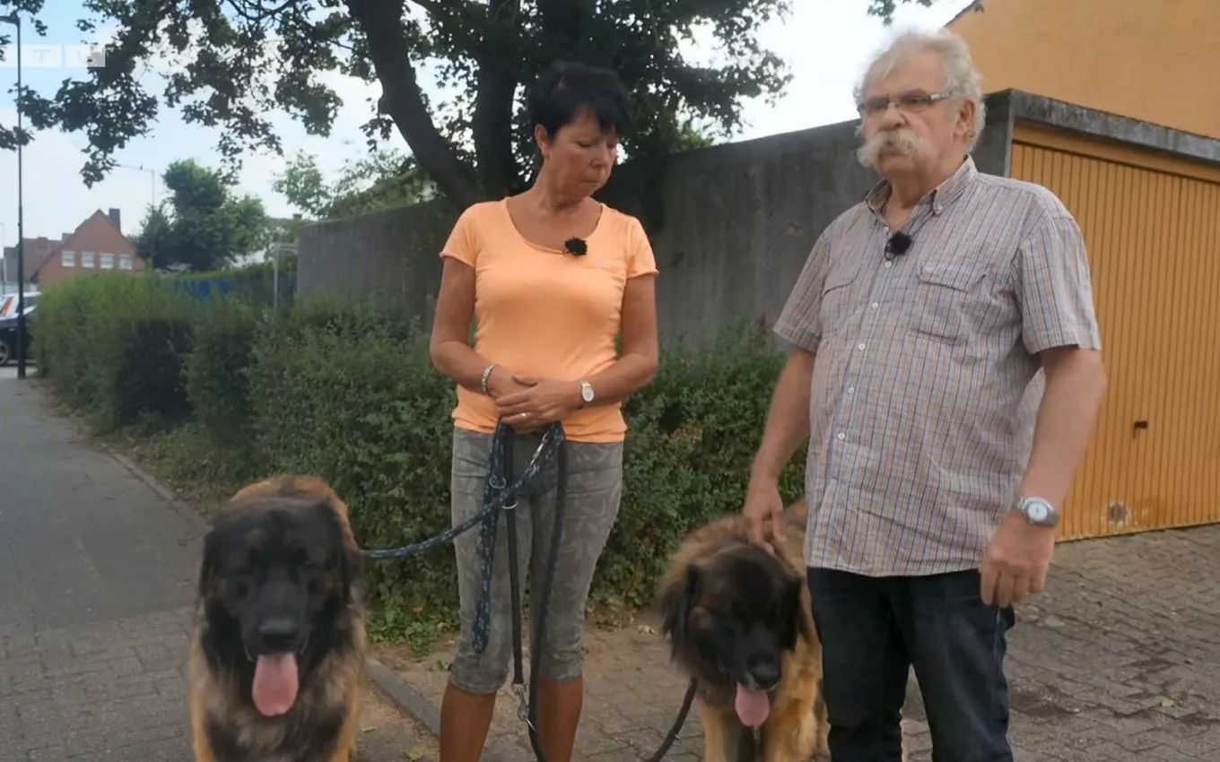 Martin Rütter: "Selten war ein professionelles Hundetraining so nötig ...