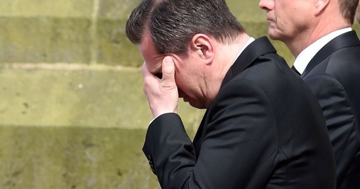 Guido Westerwelle (†54): Michael Mronz tritt sein Erbe an | BUNTE.de