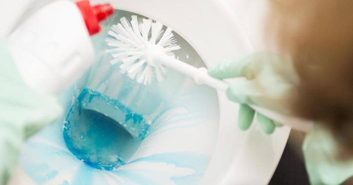 Überraschend eklig: 6 Dinge zu Hause solltest du regelmäßig austauschen ...