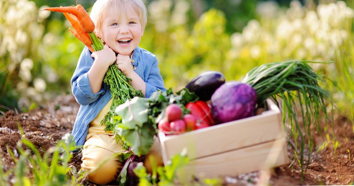 Bio-Lebensmittel: Das steckt hinter den Bio-Siegeln und deshalb sind ...