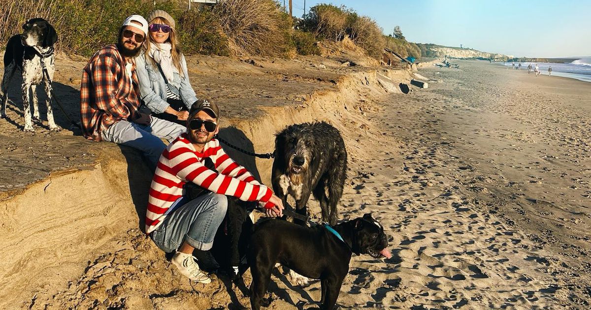 Bill und Tom Kaulitz: Nach Capper und Stitch ist auch Hund Anton ...