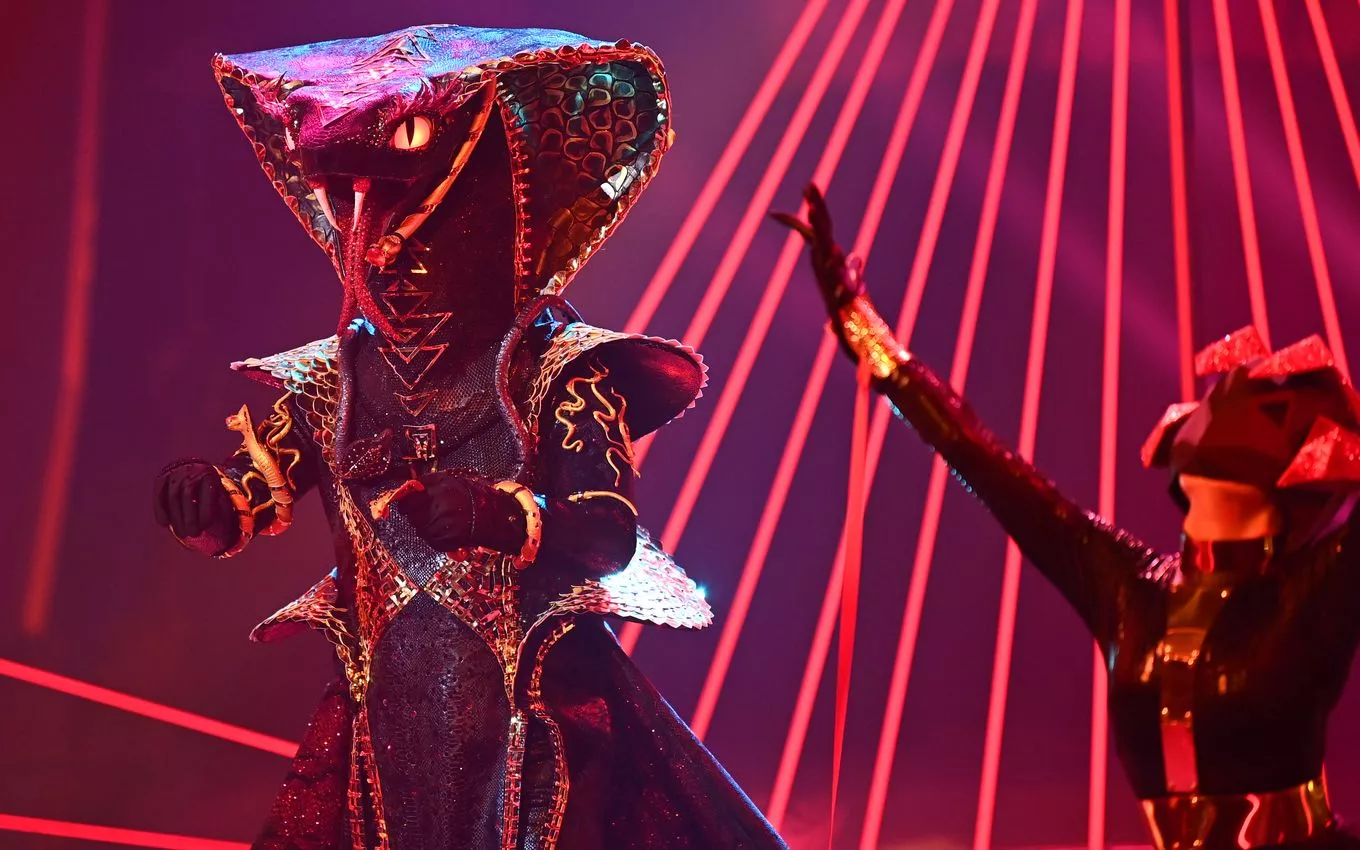 "The Masked Singer": Fans sind euphorisch – "Staffel ist promimäßig voll krass" | BUNTE.de