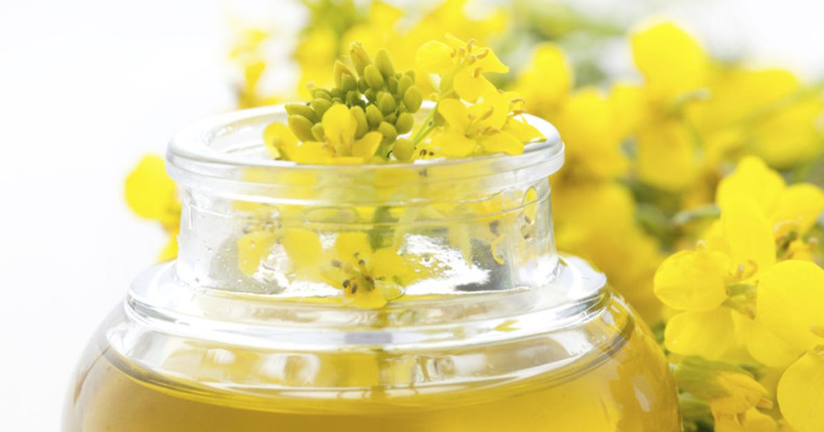 Rapsöl: Favorit der Deutschen | BUNTE.de