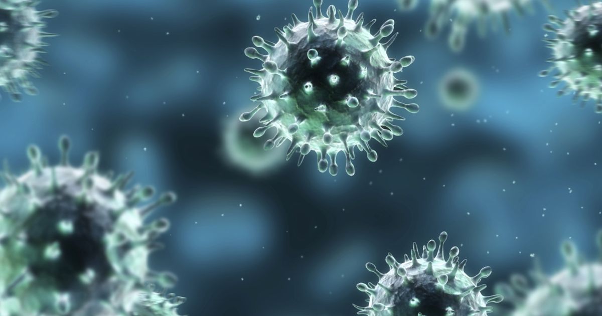 Krankheiten: Enzephalitis: Vorsicht Gehirnentzündung! | BUNTE.de