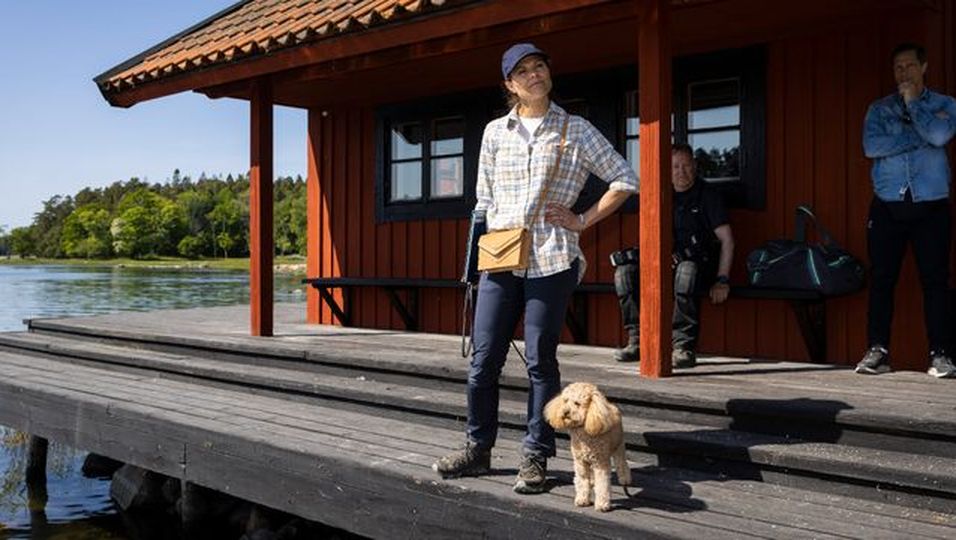 Lady Gaga: Zwei Jahre nach Hunde-Entführungsdrama: Sie zahlt Finderlohn ...