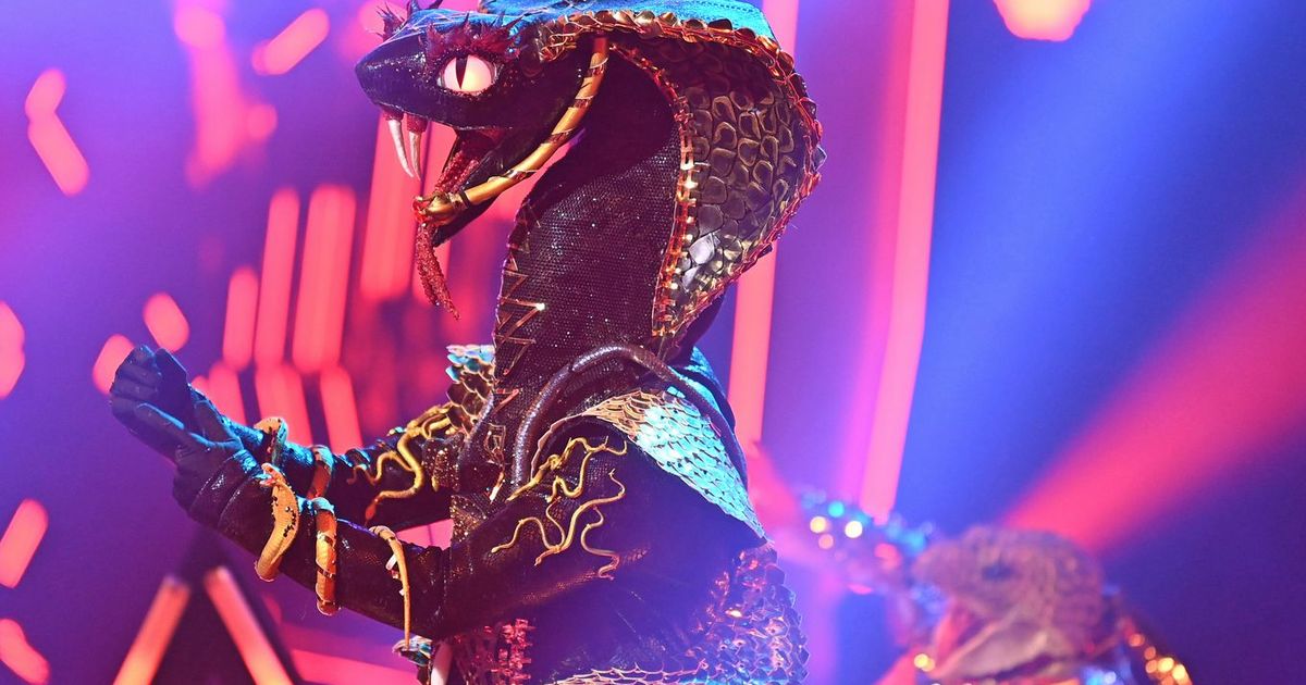 "The Masked Singer": Bekanntes GZSZ-Gesicht: Wer hinter Black Mamba ...