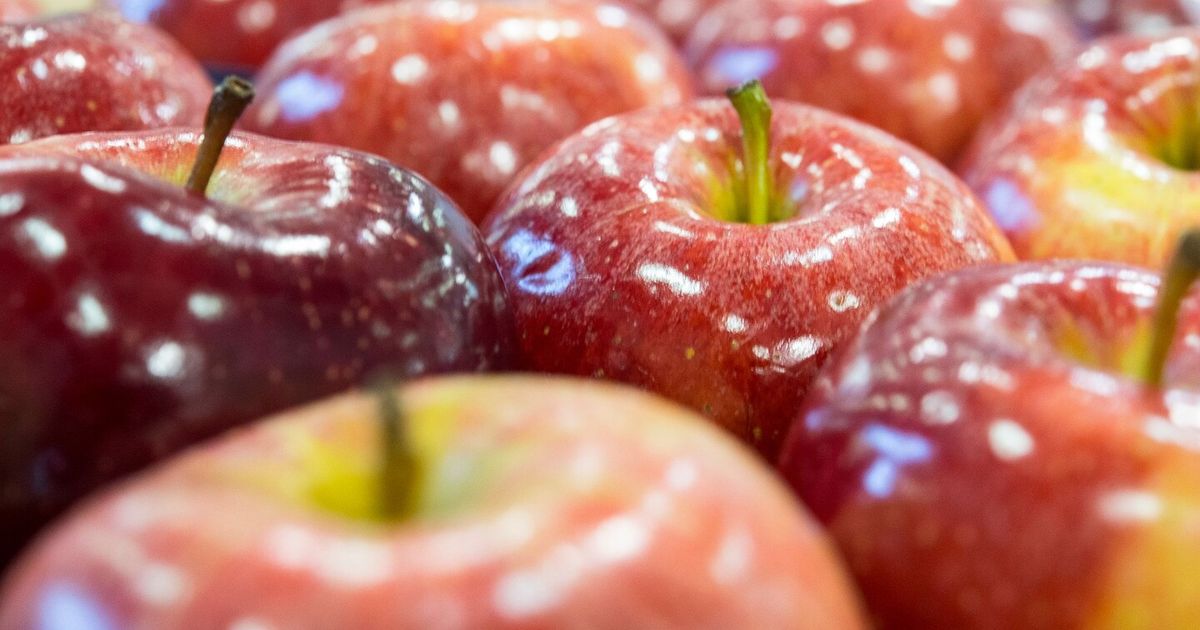 Schellack im Obst: Warum für glänzende Äpfel Läuse sterben müssen ...