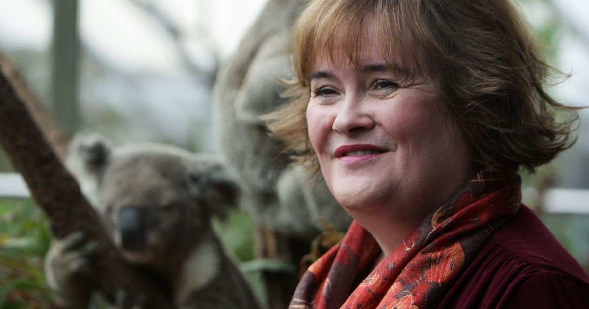 Susan Boyle: So geht es der "Britain's Got Talent"-Gewinnerin heute ...