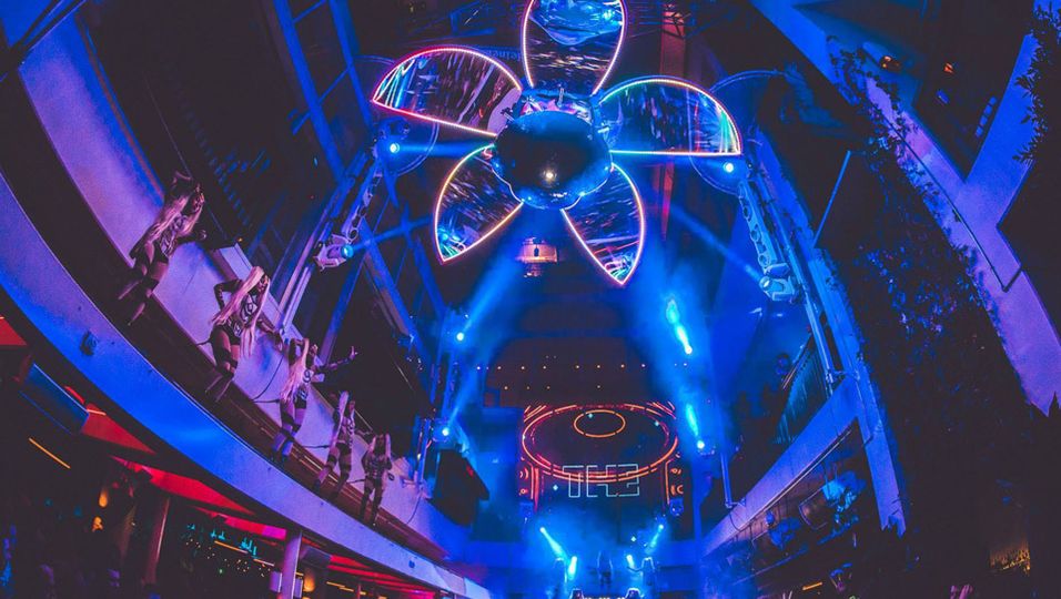 The Ivy in Sydney: Bars, Clubs und Restaurants vom Feinsten | BUNTE.de