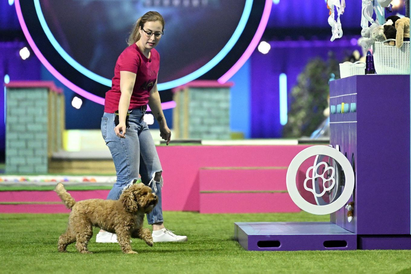 Bei "Top Dog": "Plumpaquatsch" – Frank Buschmann lästert über ...