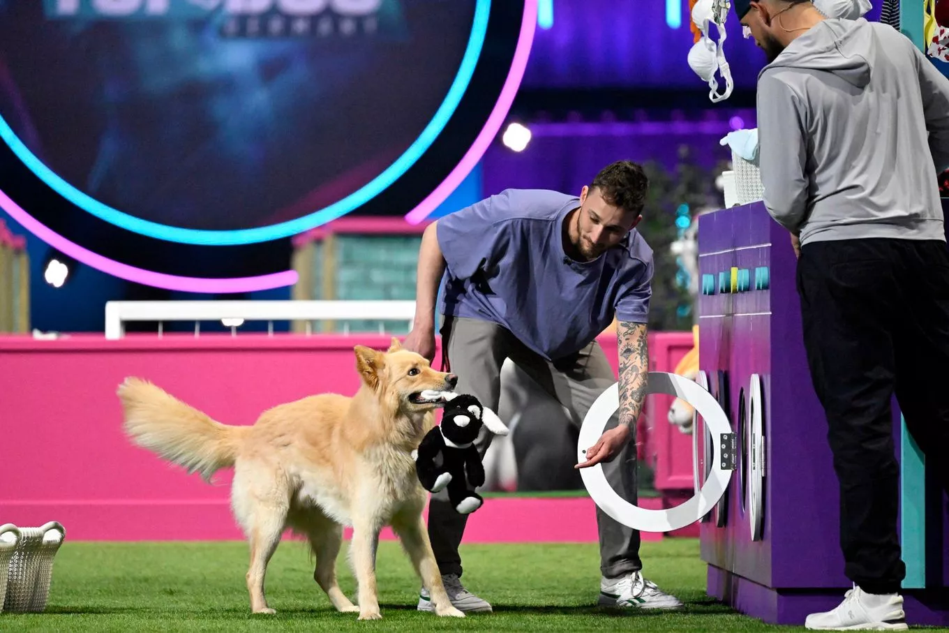 "Top Dog Germany": Buschmann spottet über "Nacktmull" und feiert "Zauberhund" | BUNTE.de