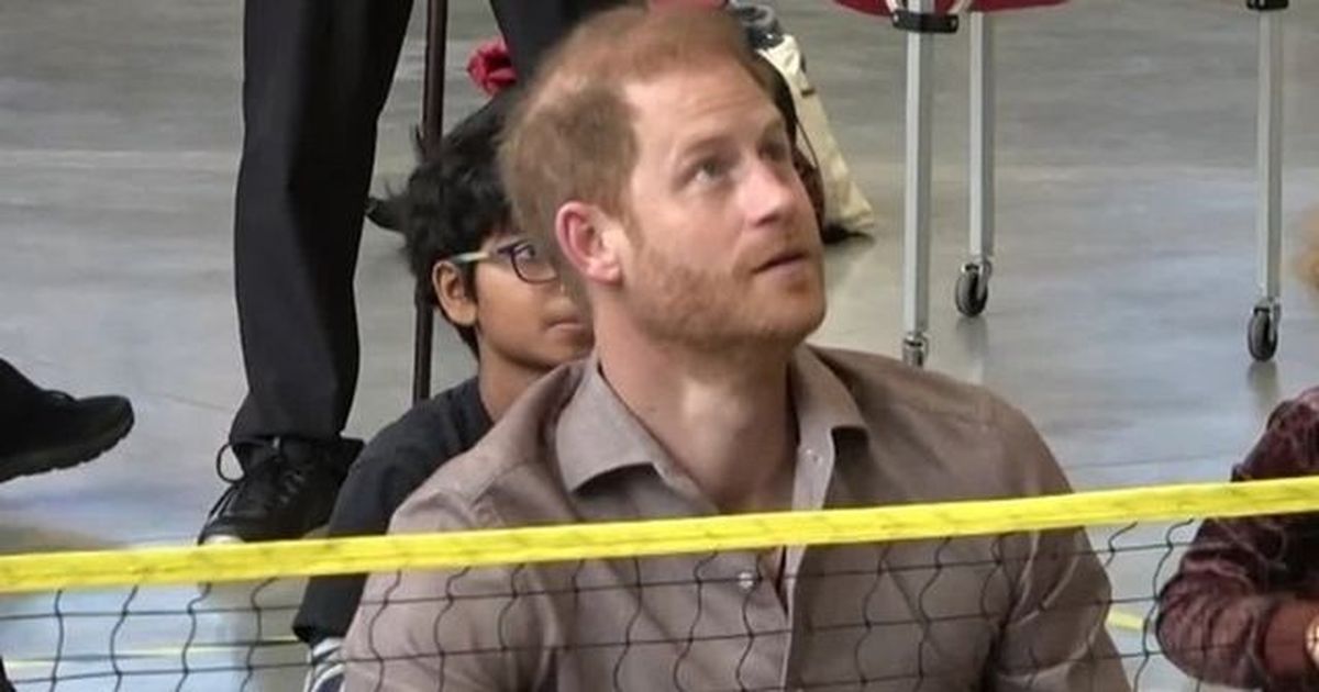 Prinz Harry - Beim Sitz-Volleyball robbt er sportlich durch die ...
