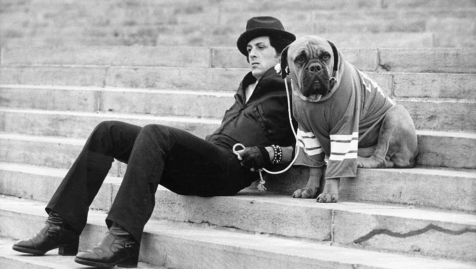 Sylvester Stallone: Hinter seinem Butkus-Tattoo steckt eine rührende ...