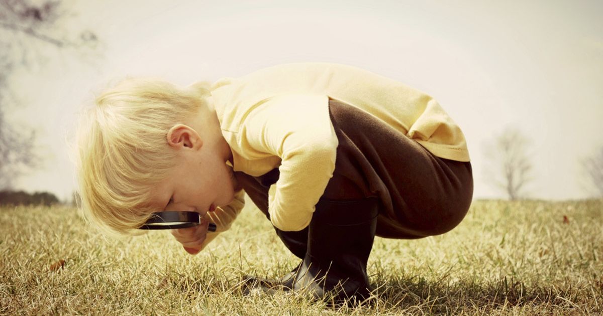 Neugierde: Macht der Urtrieb glücklich? | BUNTE.de