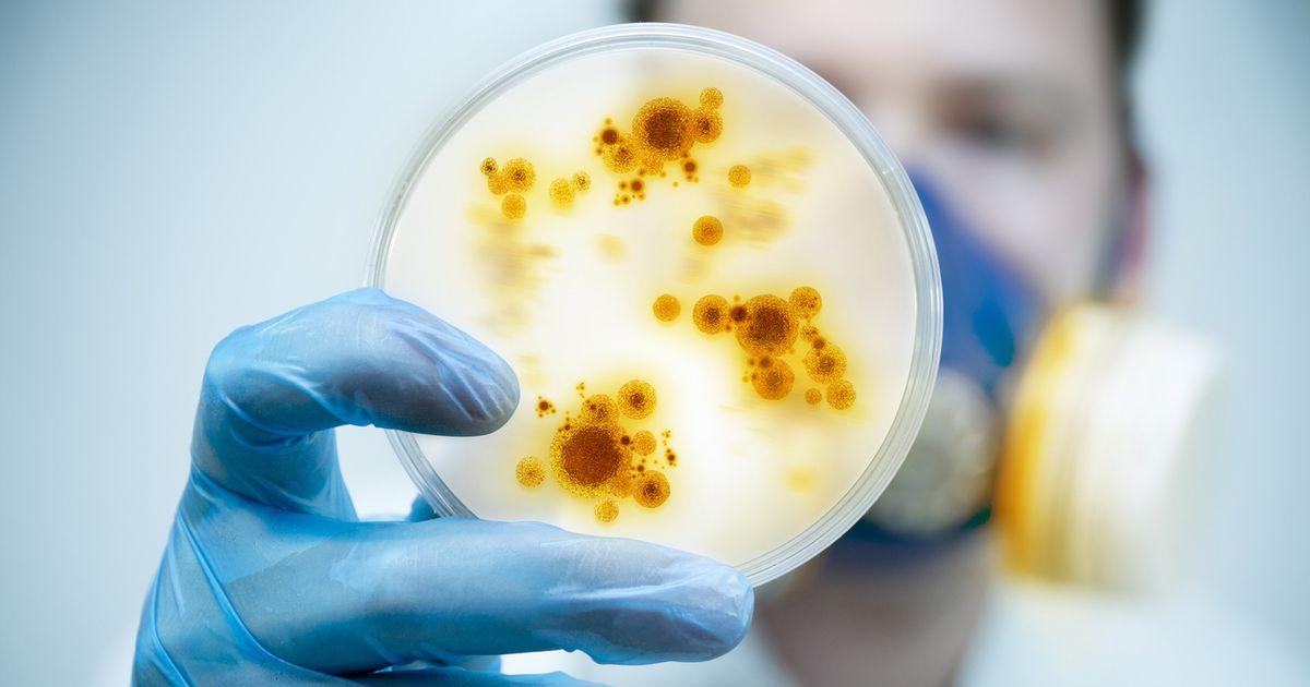 Resistente Keime: Forscher sind entsetzt: Super-Erreger breitet sich ...
