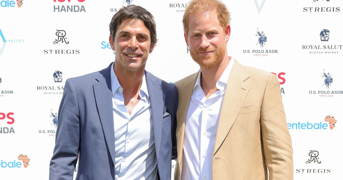 Prinz Harry: Freund spricht über Beziehung von ihm und Meghan | BUNTE.de