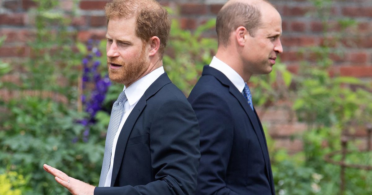 Prinz William & Prinz Harry: Freund schließt Versöhnung nach Doku aus ...