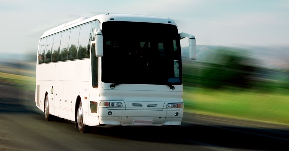 Fernbus: Reisebusse liegen im Trend | BUNTE.de