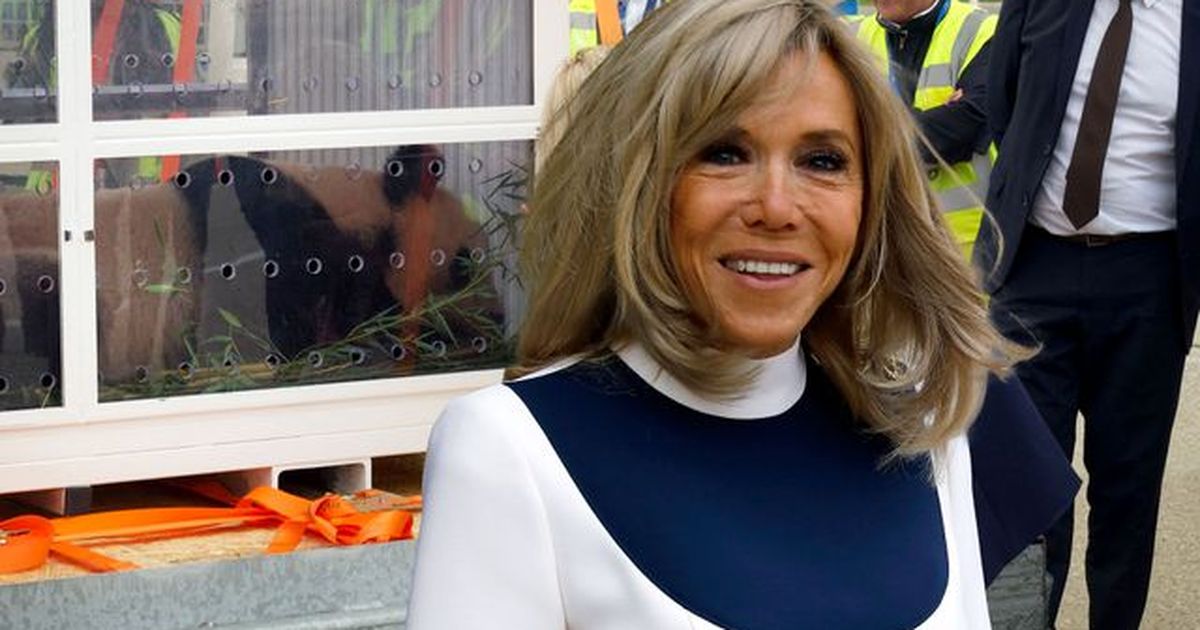 Brigitte Macron: Im Flugzeug nach China: Sie sagt französischem Panda ...