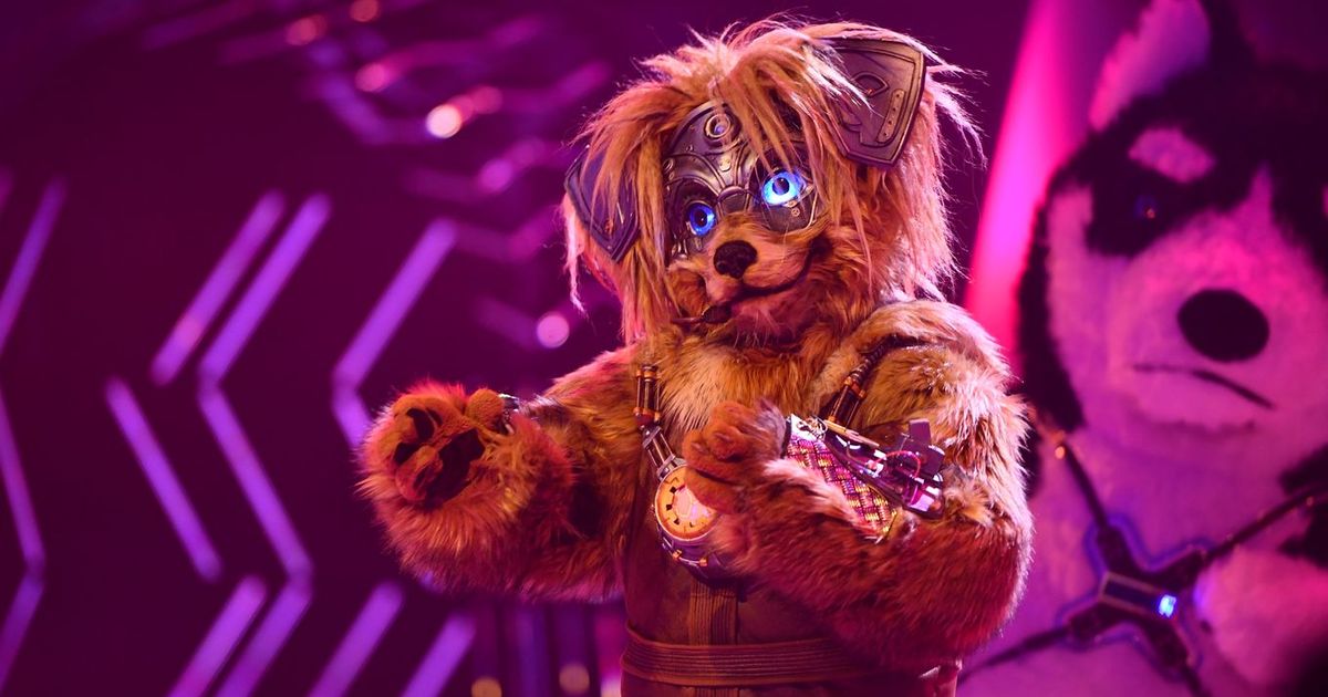 "The Masked Singer": Beliebte Moderatorin steckte im knuffigen "Robodog" | BUNTE.de
