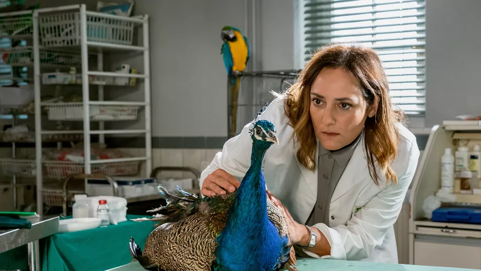 Neshe Demir: Ex-"Tierärztin Dr. Mertens"-Star im Visier der "Rosenheim ...