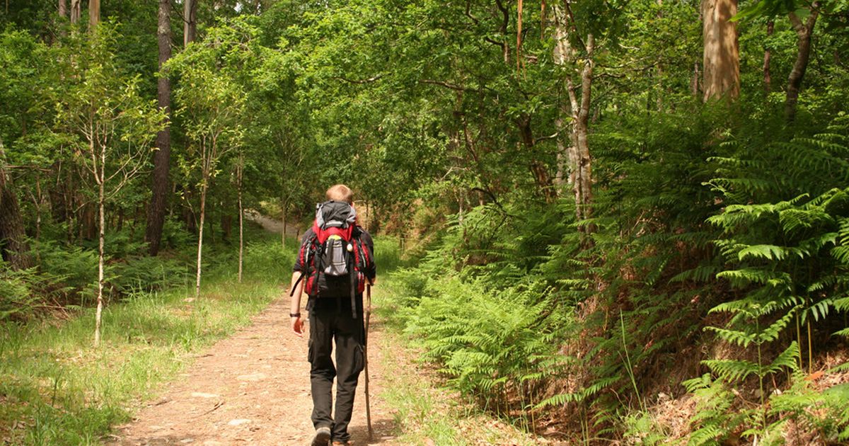 Pilgern: Tipps zur Vorbereitung und Ausrüstung | BUNTE.de