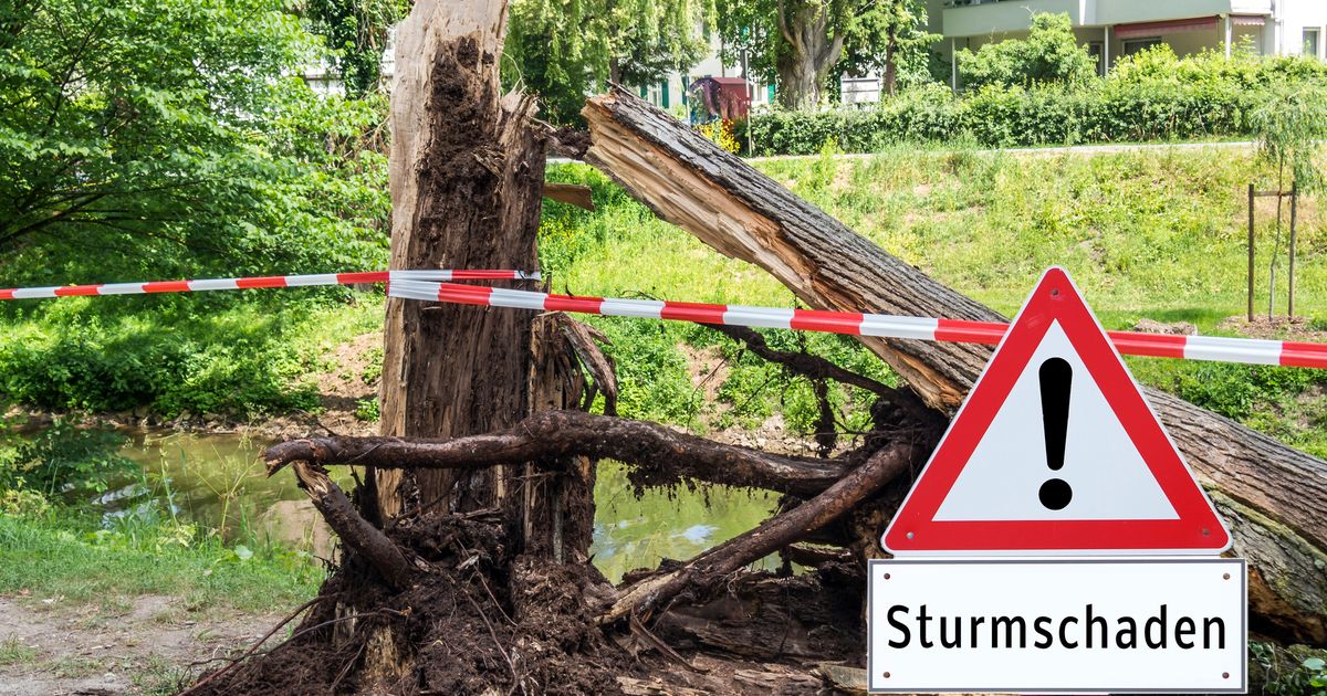 Auch Schneefall ist dabei: Unwetter-Alarm am Wochenende: Sturmfluten und Orkanböen drohen | BUNTE.de