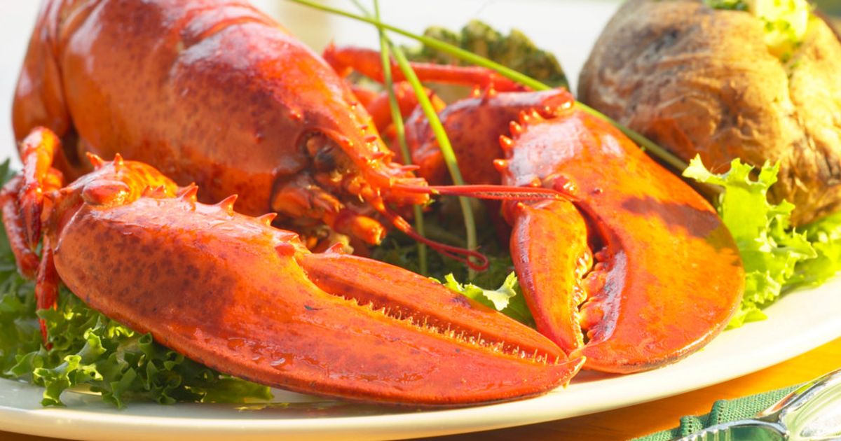 Hummer essen: So zerlegen Sie das Schalentier richtig | BUNTE.de