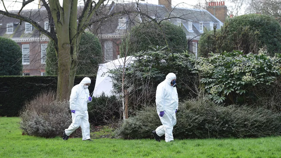 Herzogin Kate & Prinz William: Tödliche Feuer-Tragödie im Palast-Garten ...