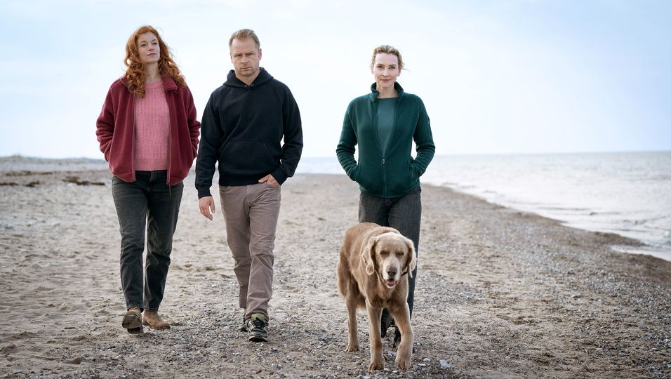 "Nord bei Nordwest"-Liebling: Wem gehört eigentlich Haukes Hund Holly ...