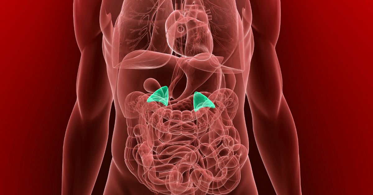 Stoffwechselstörung: Morbus Addison: Nebennierenrindeninsuffizienz ...