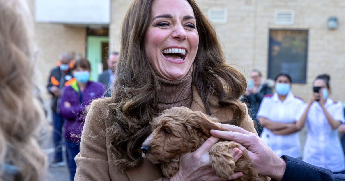 Prinzessin Kate, Victoria von Schweden & Co.: Hunde bringen sie zum ...