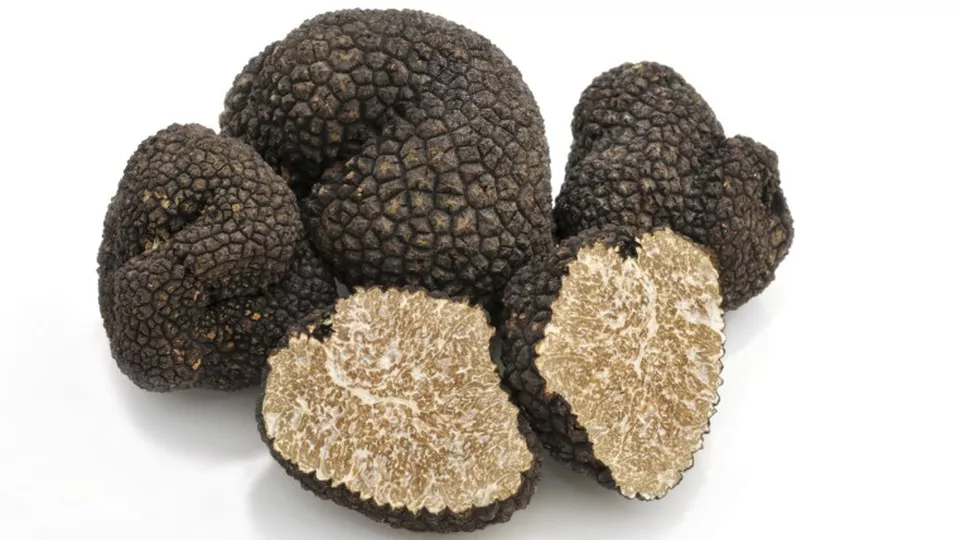 Trüffel zubereiten: Tipps für Gourmets | BUNTE.de